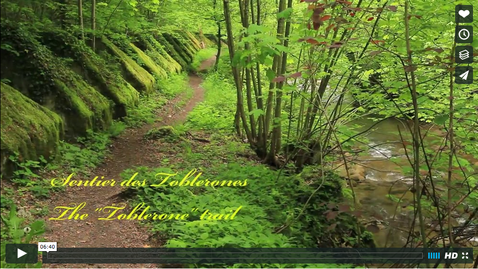 video2 | Association pour le Bois de Chênes de Genolier