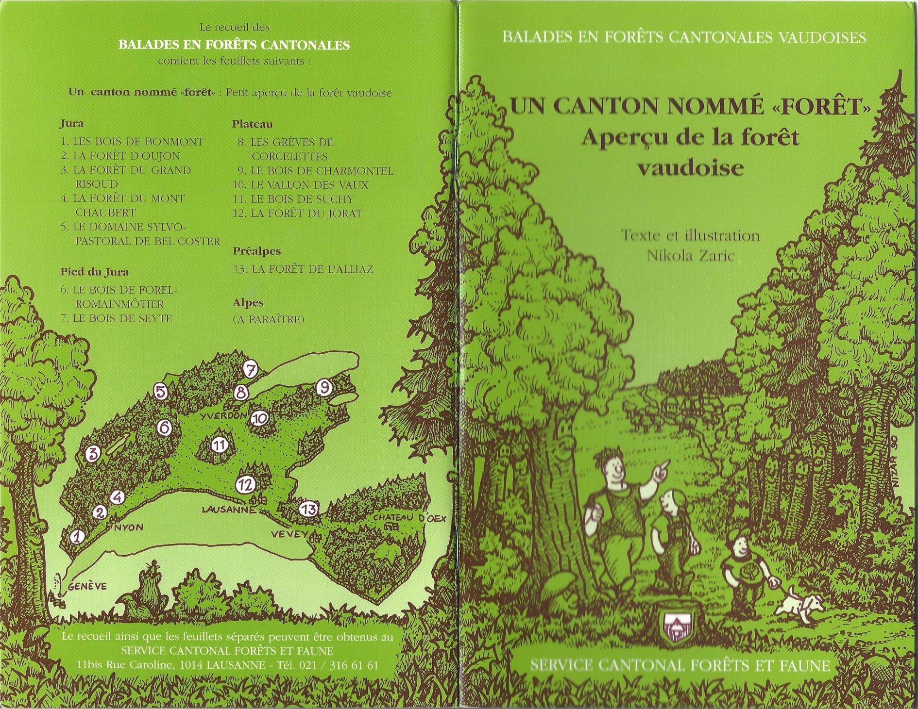 Aperçu de la forêt vaudoise et lexique forestier | Association pour le ...